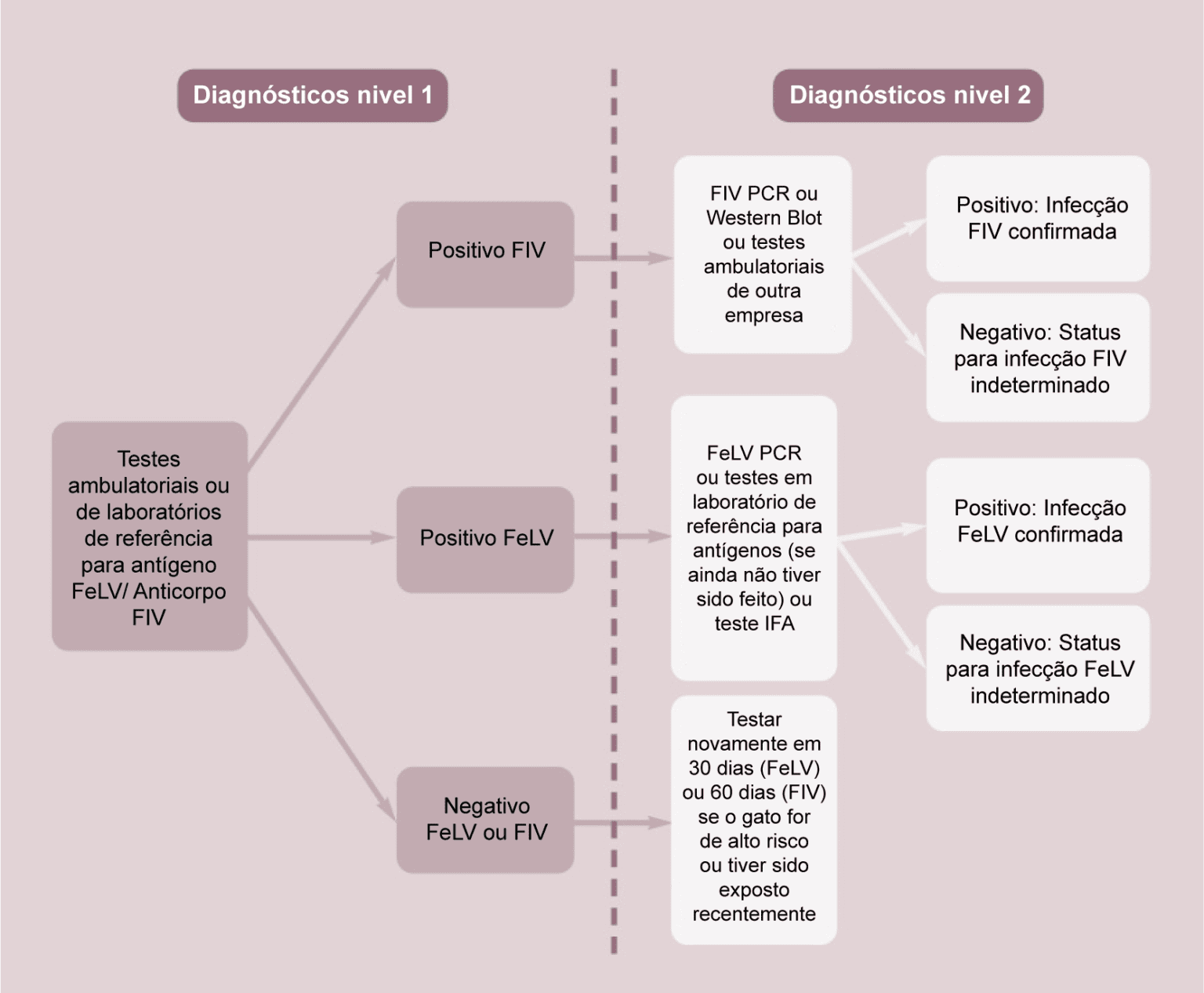 Diagnóstico e testes de FIV e FeLV - Digivets